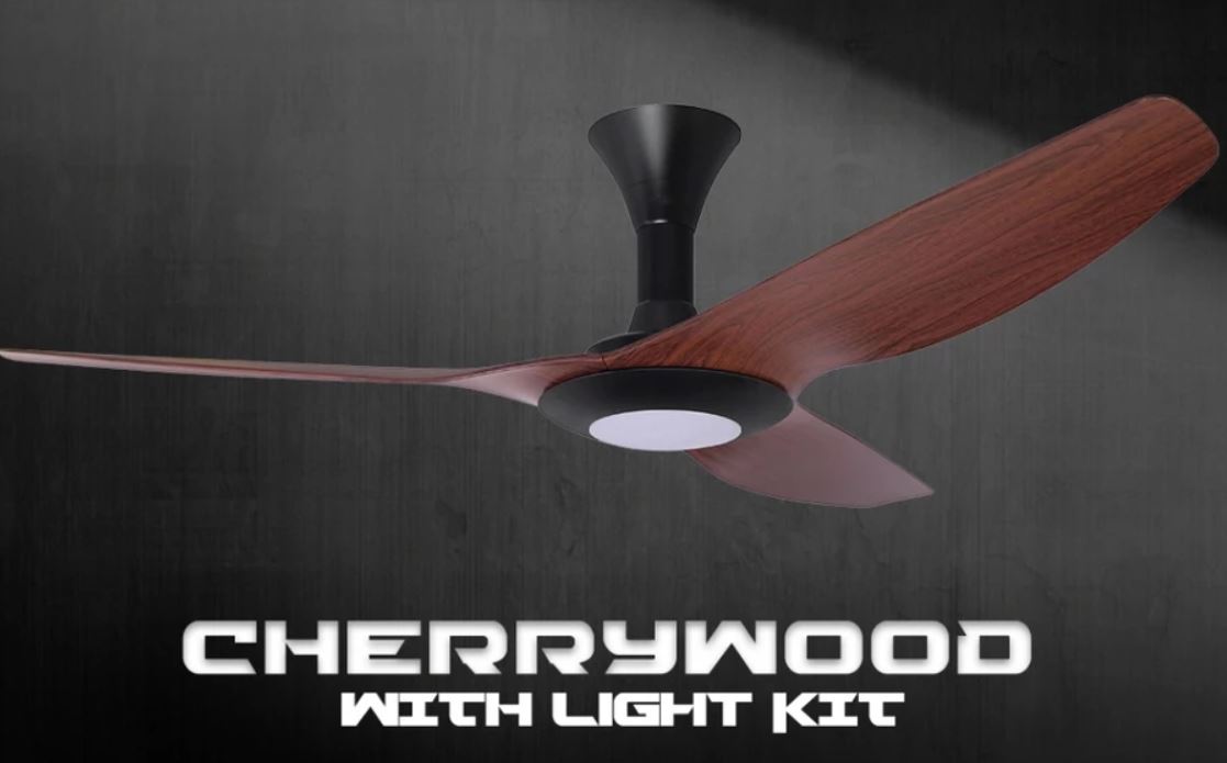 POINT ONE Vortex (46″ , 52″) VSPEC-IV RS TYPE-II Smart Ceiling Fan With ...